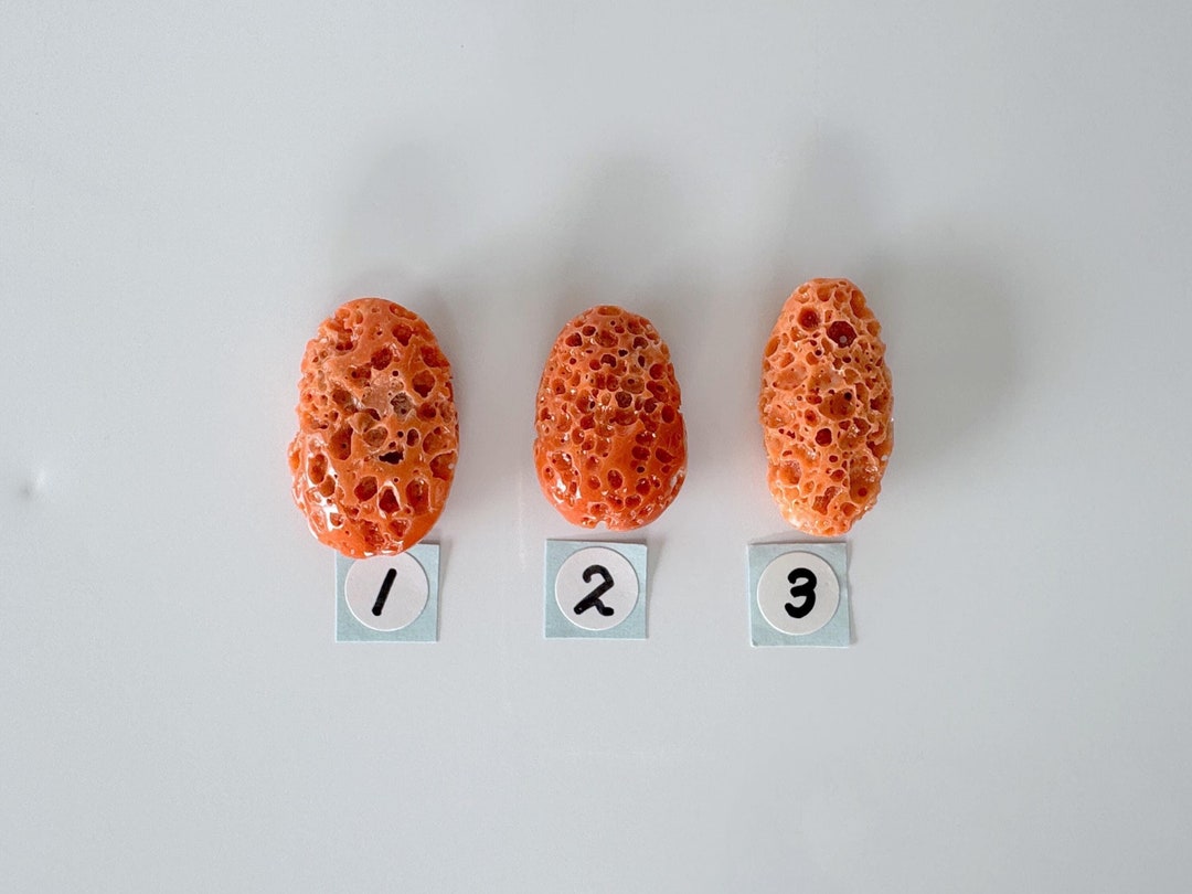 Natural Japanese Momo Coral Loose, Natural Orange Color Coral for ...