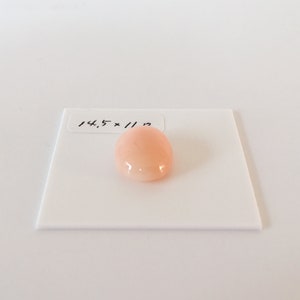 14.5x11.0mm, Natural Deep Sea Angel Skin Color Coral Oval Cabochon ...