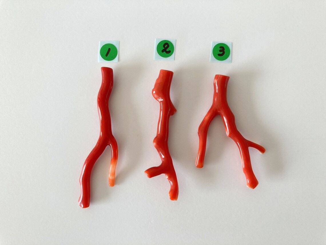 Japanese Momo Coral Branch Natural Red/Orange Color Coral | Etsy