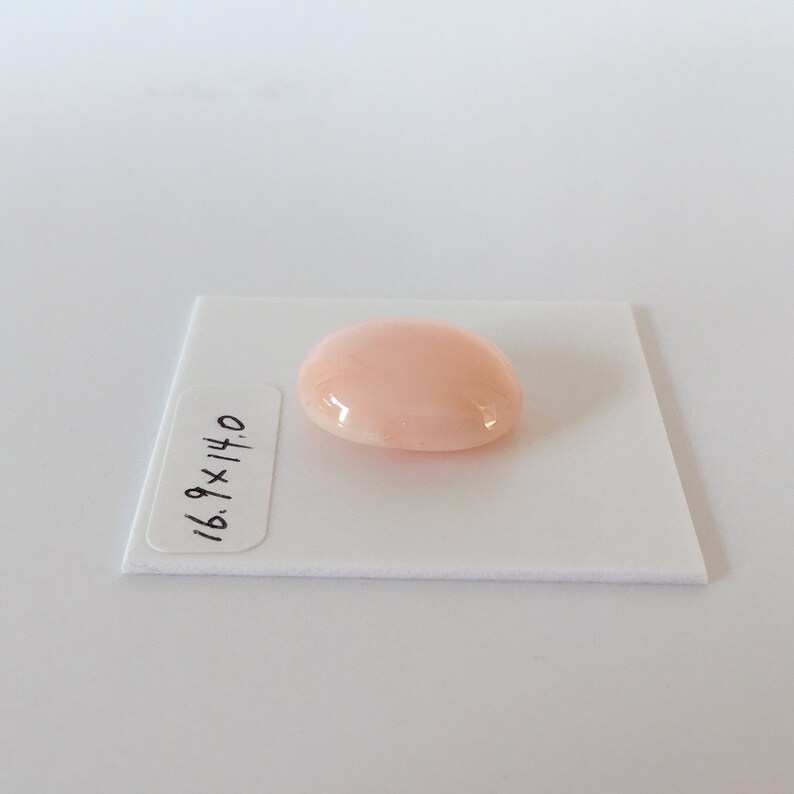 16.9x14.0mm Natural Deep Sea Angel Skin Color Coral Oval | Etsy