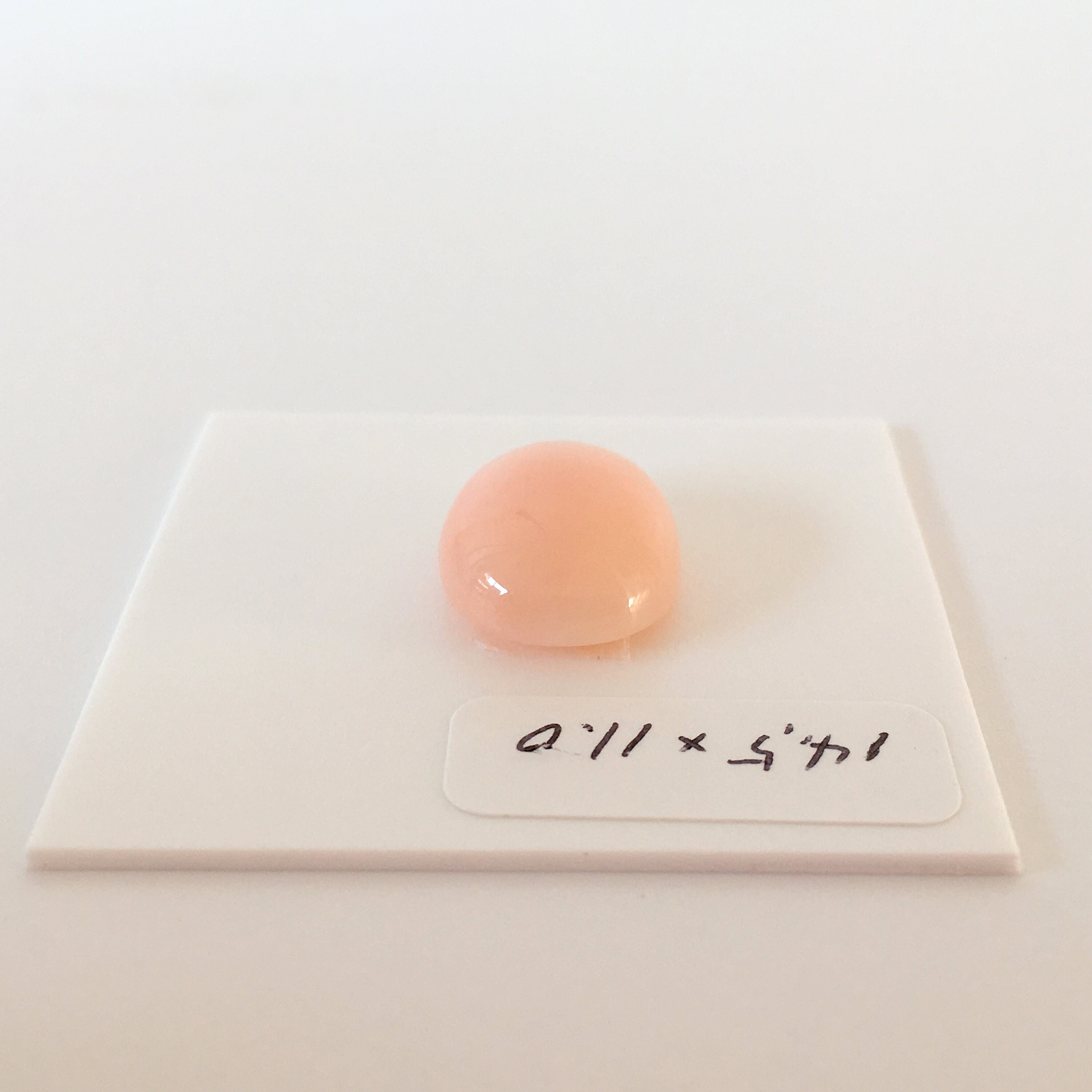 14.5x11.0mm Natural Deep Sea Angel Skin Color Coral Oval - Etsy