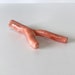 Japanese Momo Coral Branch Natural Orange Color Coral Branch - Etsy