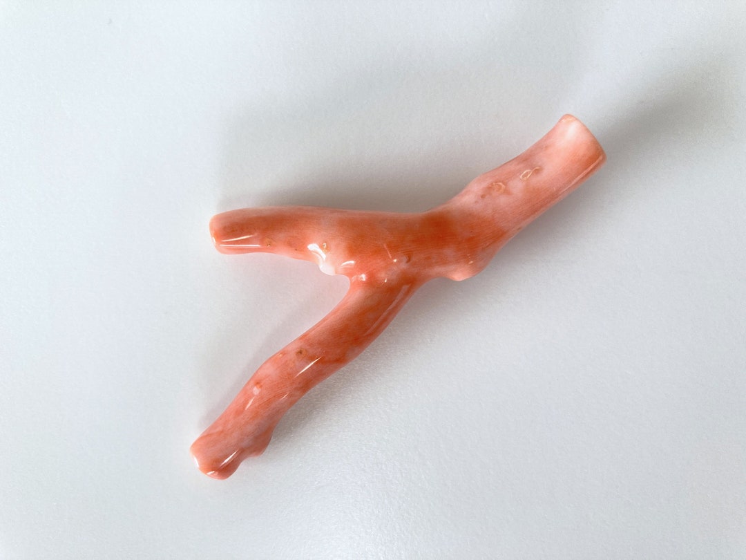 Japanese Momo Coral Branch, Natural Orange Color Coral Branch, Genuine ...