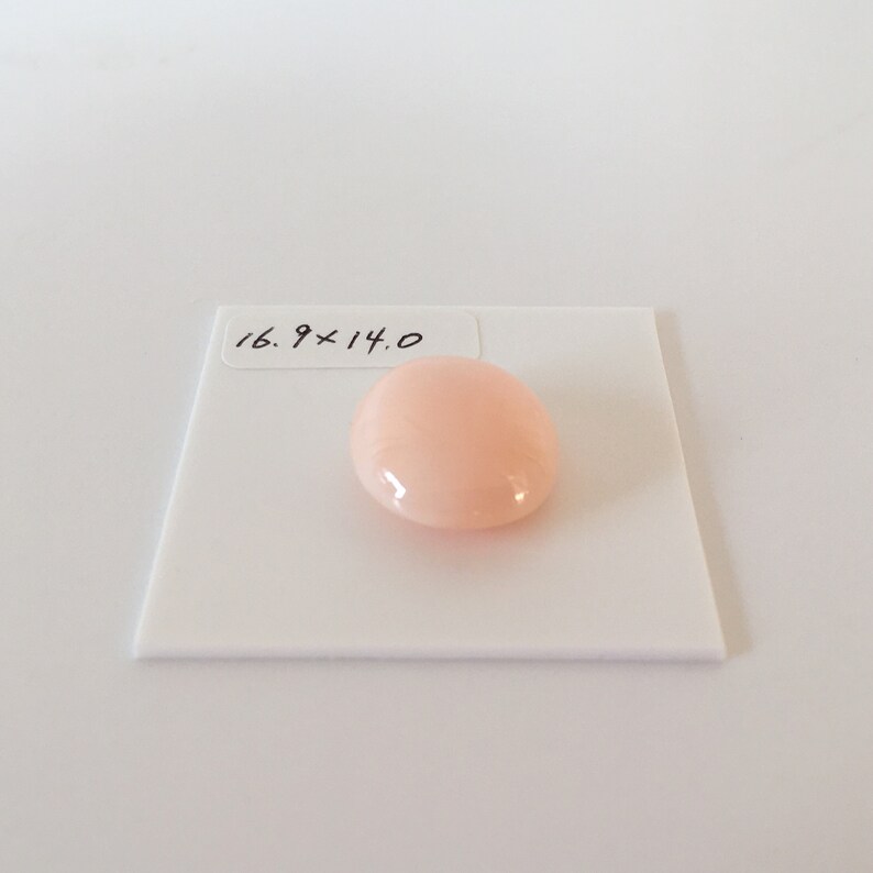 16.9x14.0mm Natural Deep Sea Angel Skin Color Coral Oval | Etsy