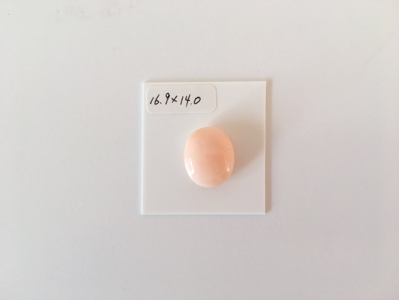 16.9x14.0mm Natural Deep Sea Angel Skin Color Coral Oval | Etsy