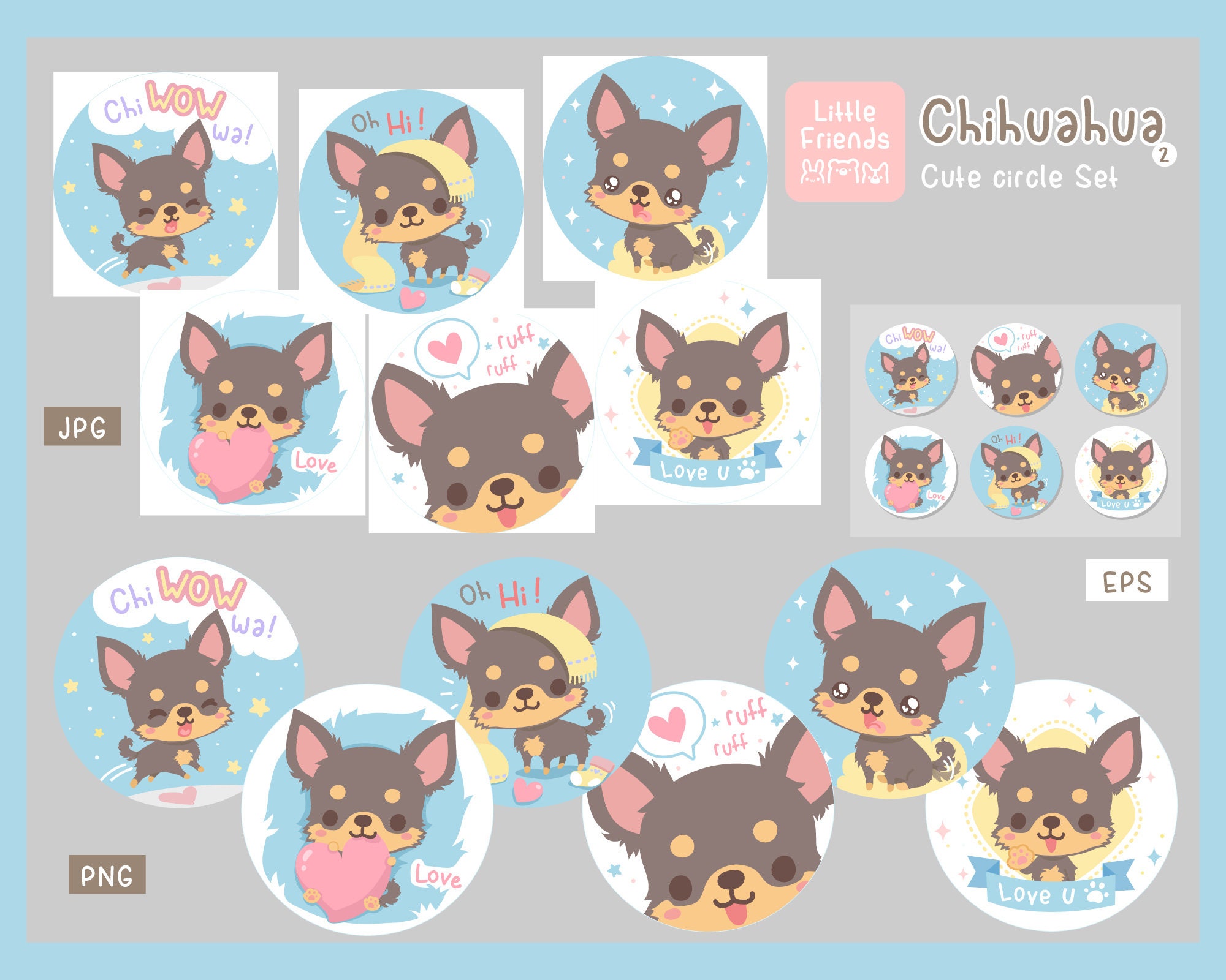 Cute Happy Funny Chihuahua Chiwawa Dog, Chocolate Brown Long Hair in ...