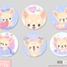 Cute Happy Funny Chihuahua Chiwawa Dog, Light Cream Short Hair in Soft ...