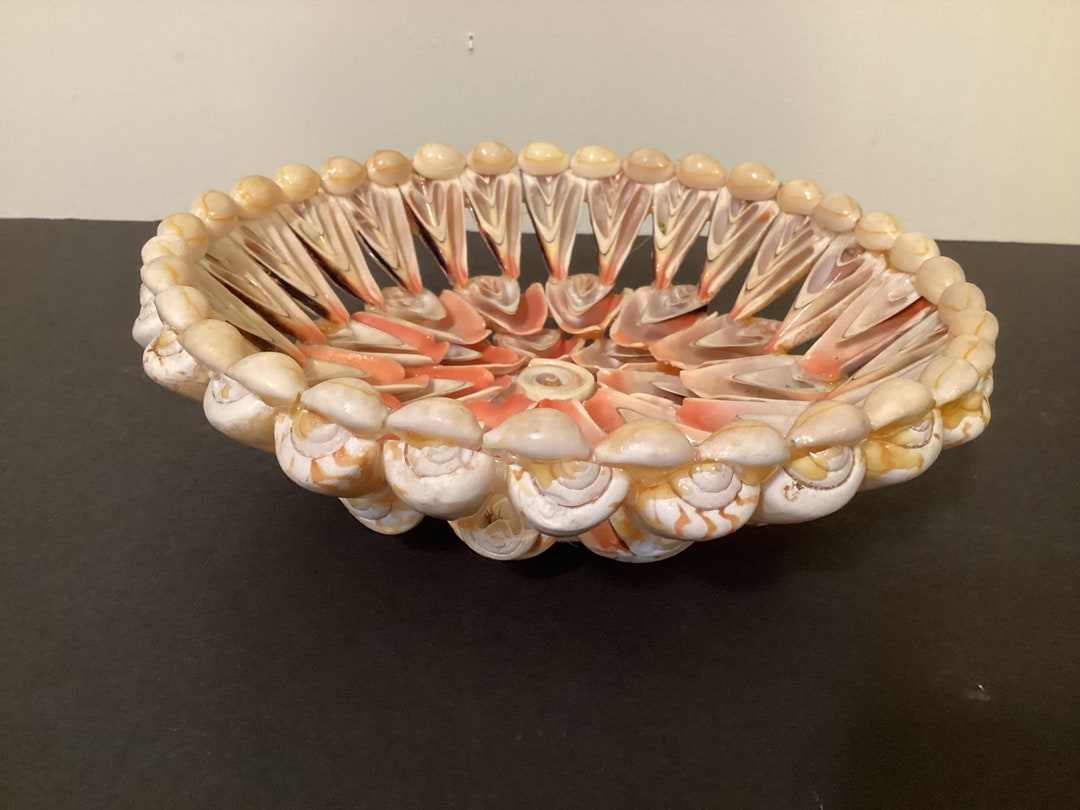 Unique Handmade Footed Seashell Table Bowl - Etsy