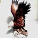 Vintage Bald Eagle Homco Masterpiece Porcelain Figurine - Etsy
