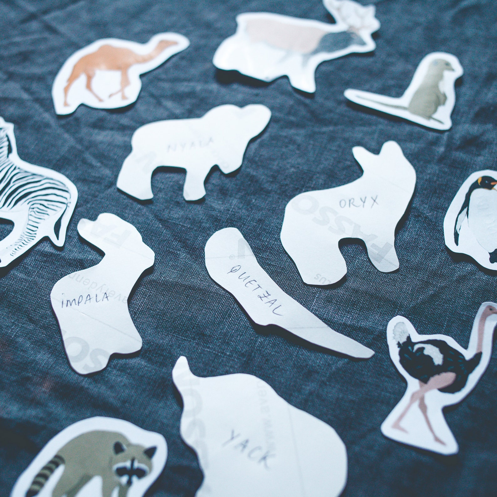 26 Wild Animal Stickers stickers children's creative | Etsy