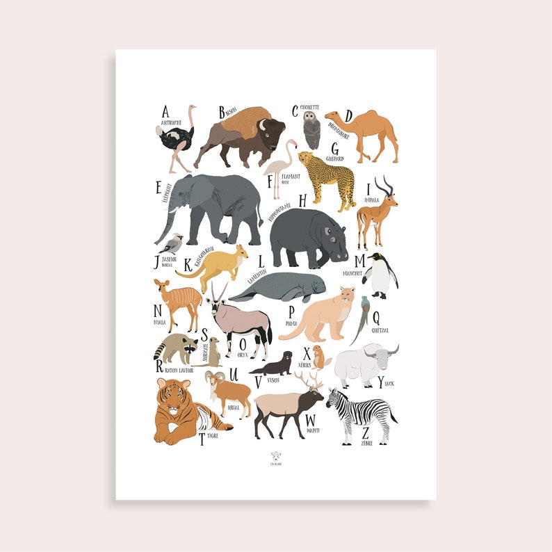 Abécédaire, Abécédaire Animaux, Affiche chambre d'enfant, ABC poster ...