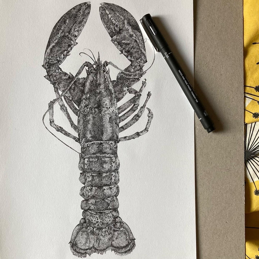 Highly Detailed and 005 Pen and Ink Intricate Dot Drawing of a Lobster ...