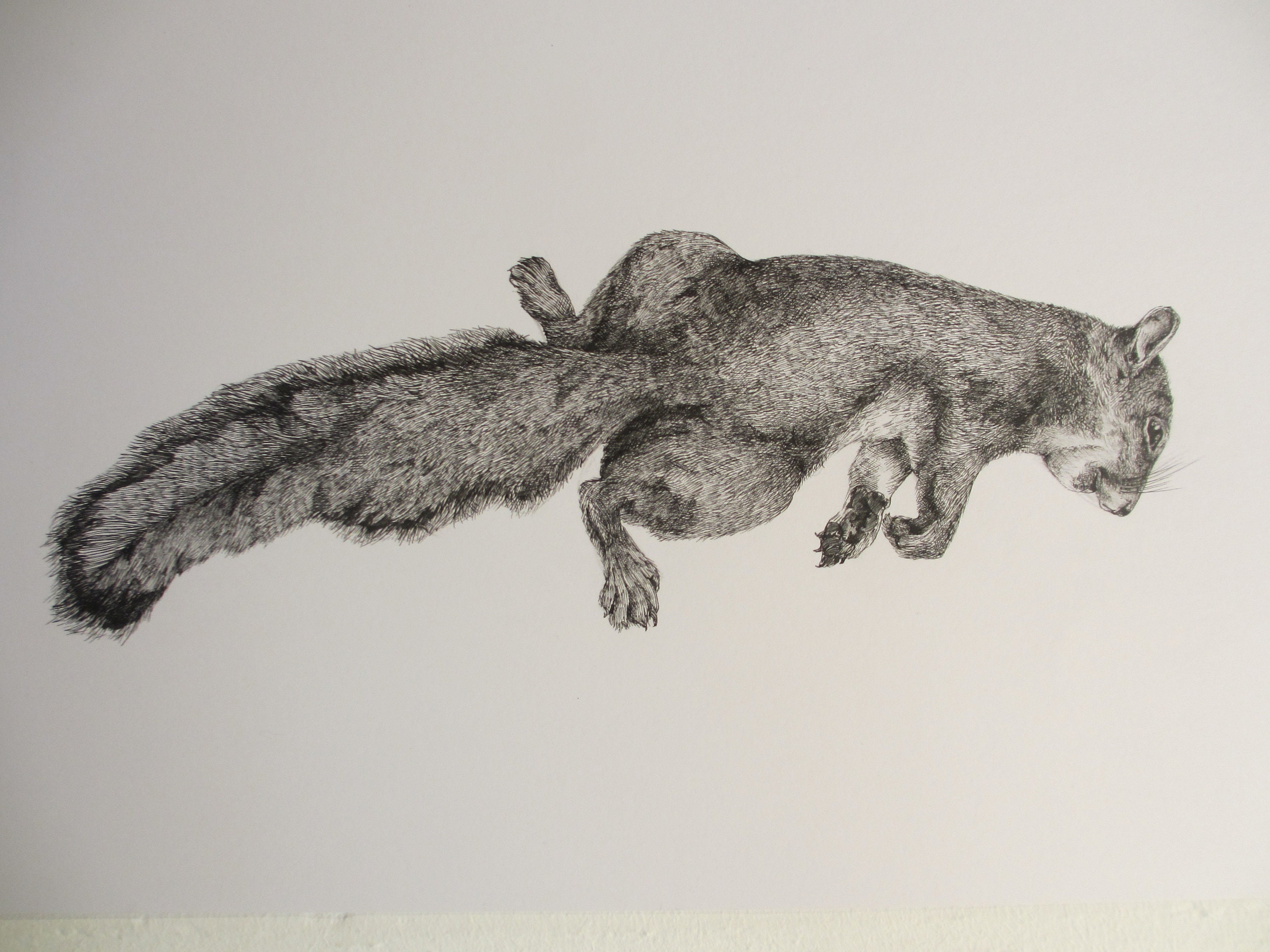 Art & Collectibles Pen & Ink Dead Rat Drawing 0.05 Pen Rodent Rat ...