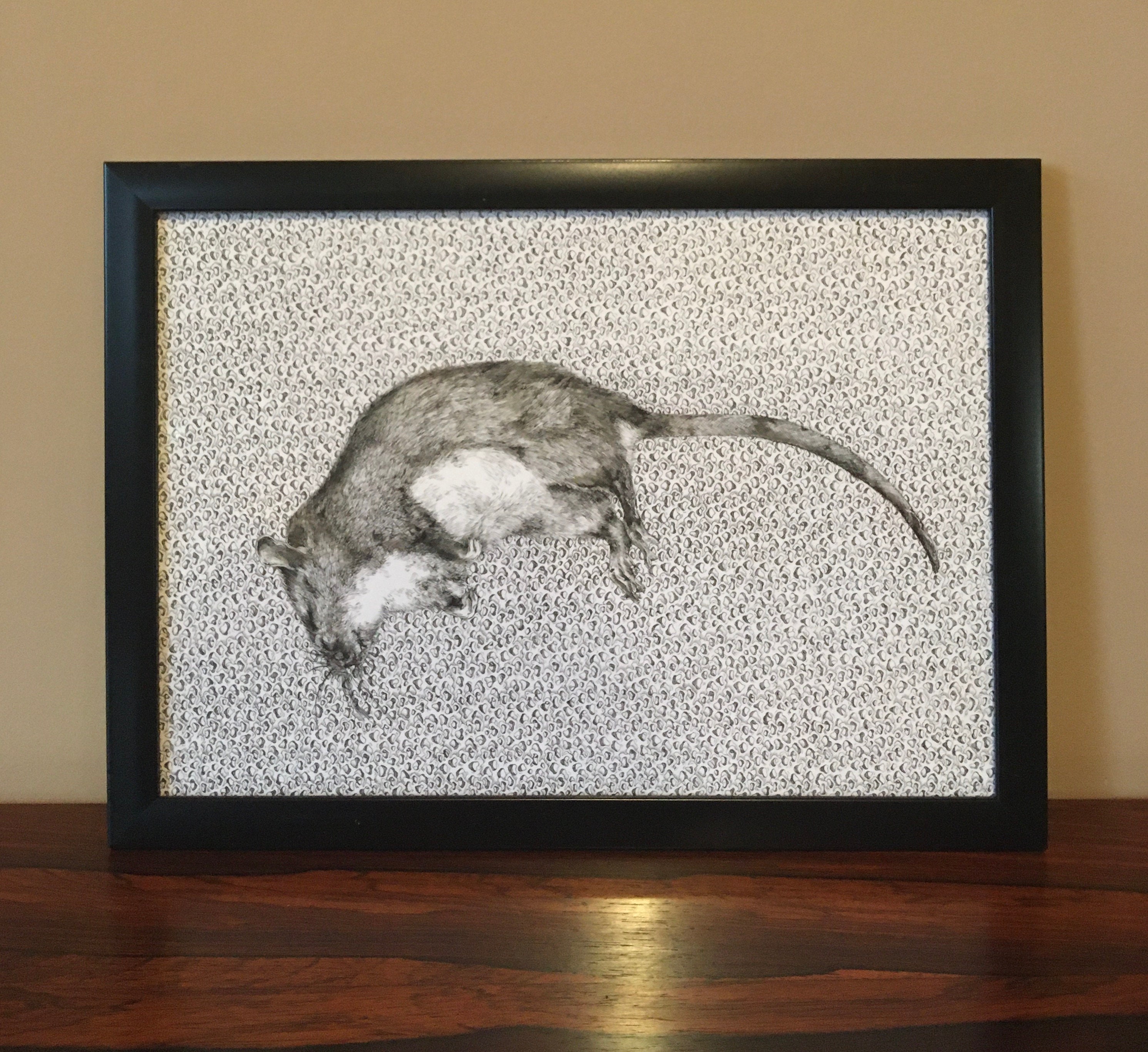Art & Collectibles Pen & Ink Dead Rat Drawing 0.05 Pen Rodent Rat ...