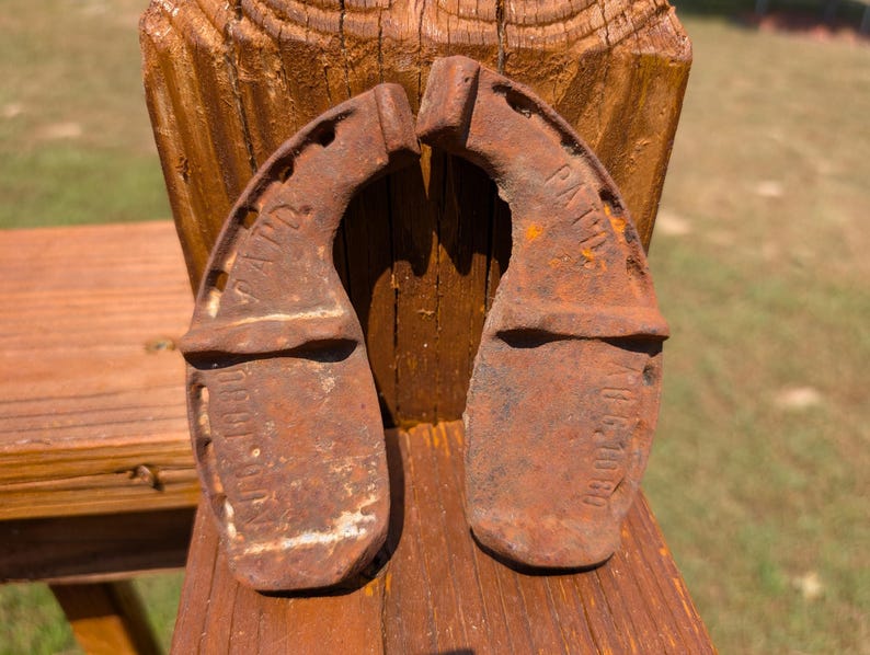 2 Ox Oxshoes Oxen Shoes or Cues Cast Iron Metal Historic Oregon Trail ...