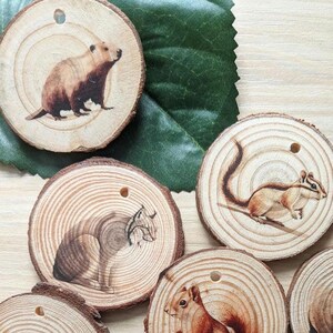 Little Forest Animals Ornaments/magnets/talismans - 4-5cm Wood Slices ...