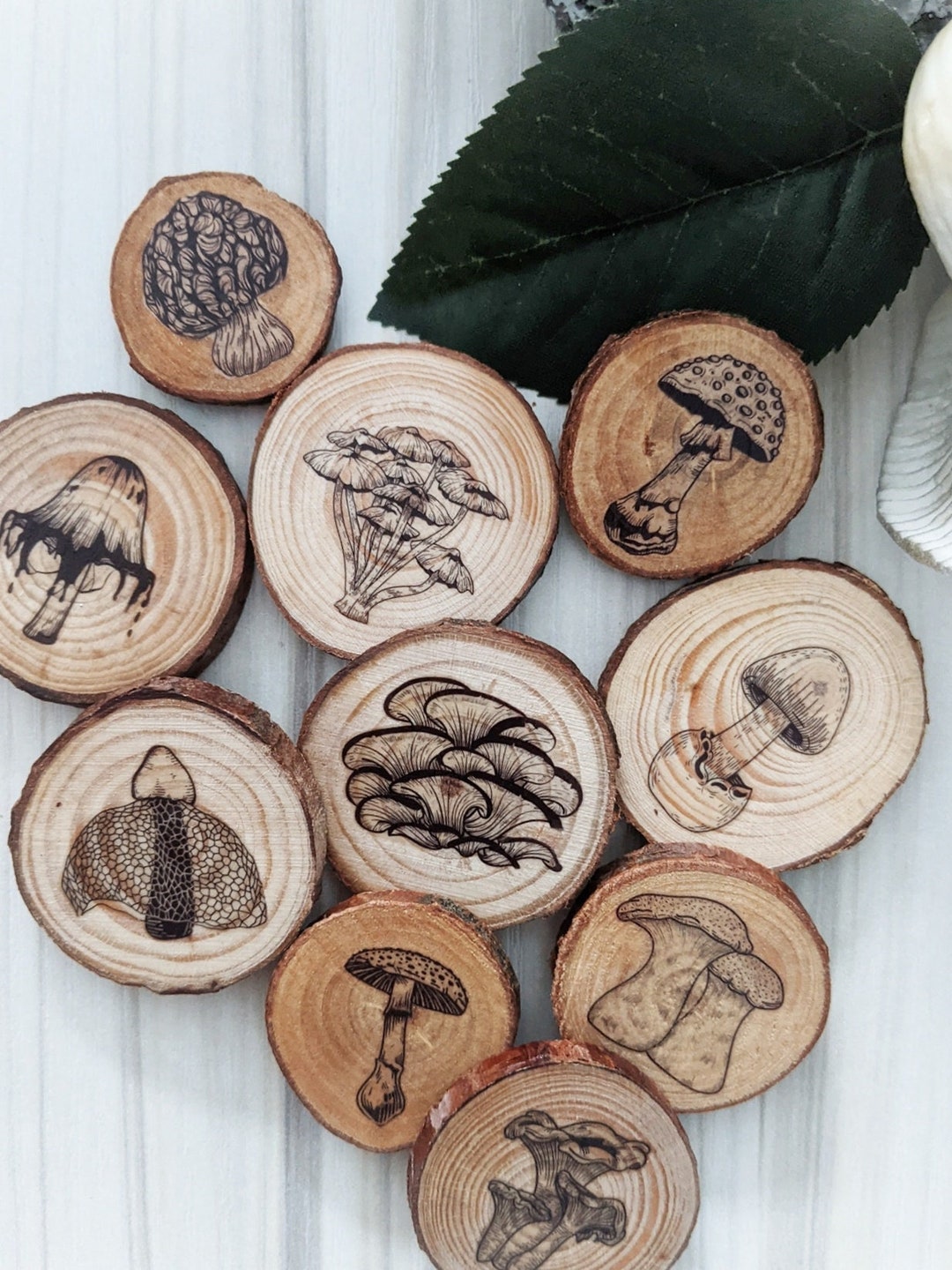 Tiny Mushroom Magnet Sets - Rustic Wood Slice Yule/christmas Gifts - 4 ...