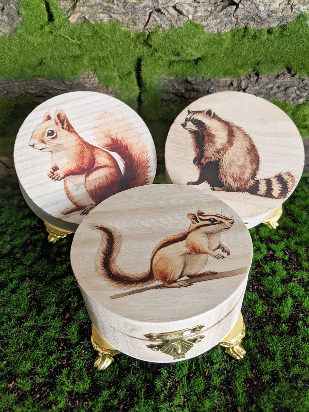 Woodland Animal Curio Box: Forest Creature Trinket Box, Squirrel ...