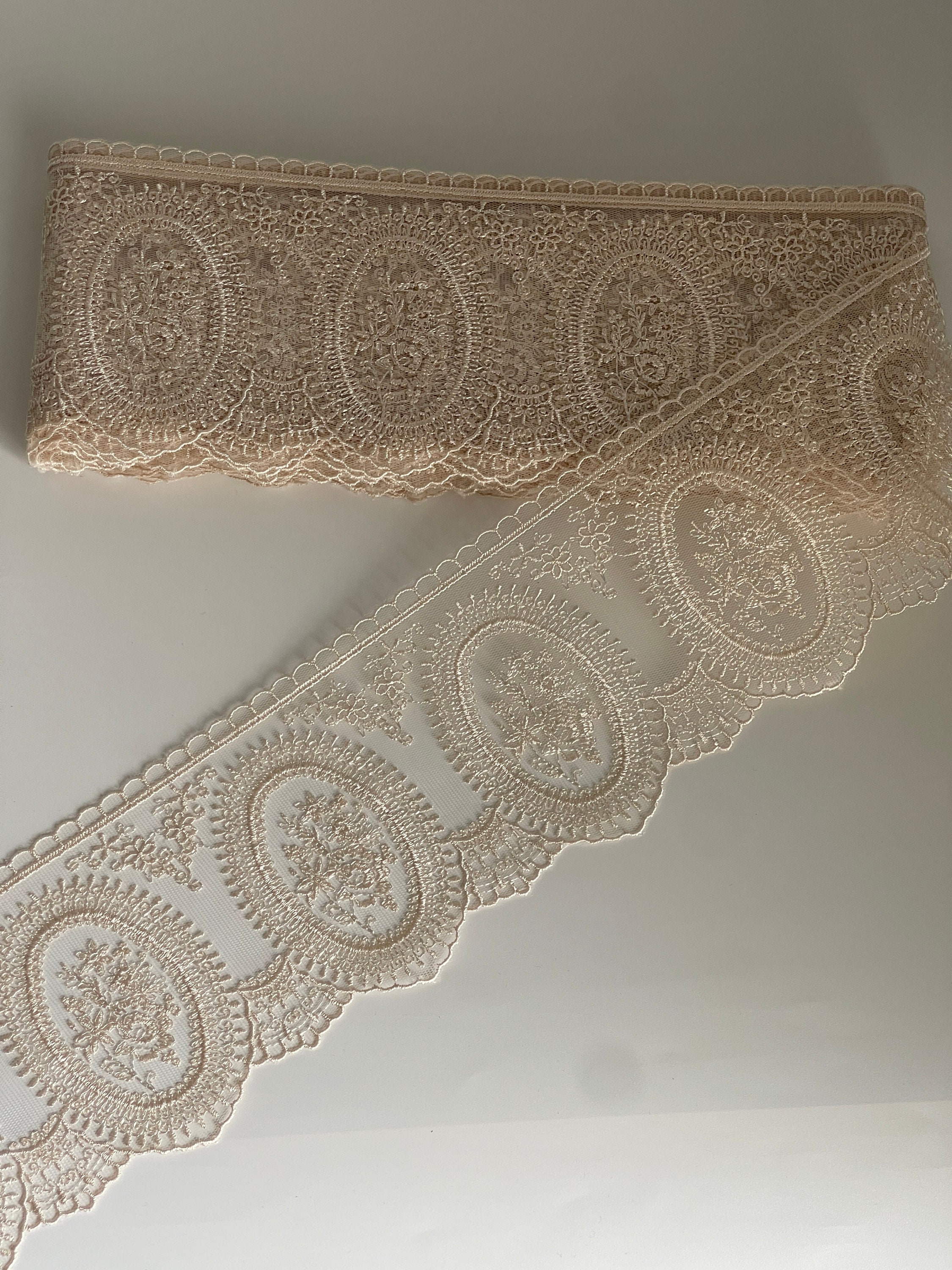 Embroidered Lace on Beige Tulle Vintage Lace Artisan Lace Scalloped ...