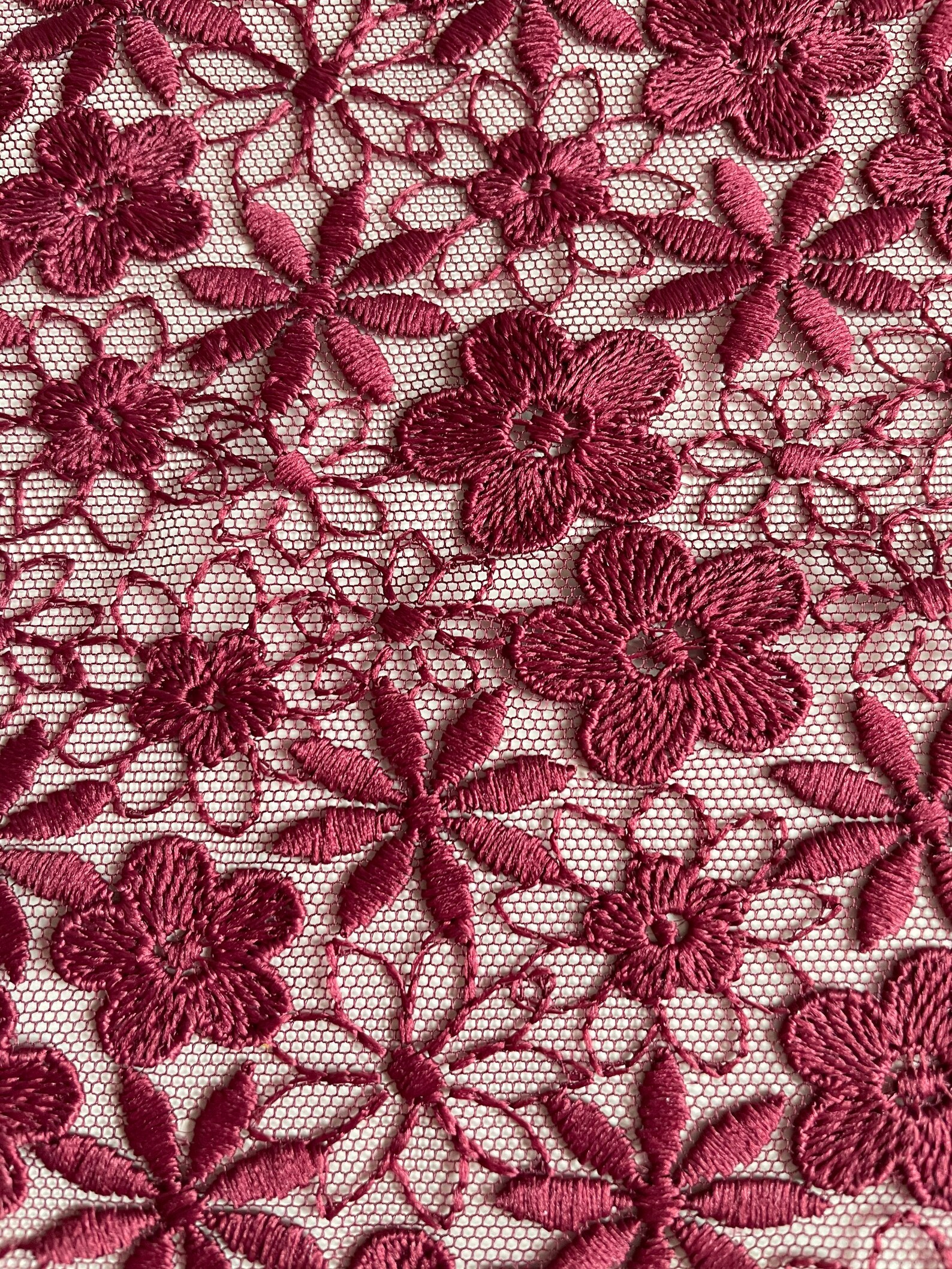 Embroidered Lace on Tulle Lace Edge Tulle Lace Border - Etsy UK