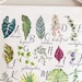 Houseplant Alphabet Poster Botanical ABC Wall Hanging Decor A-Z Plant ...