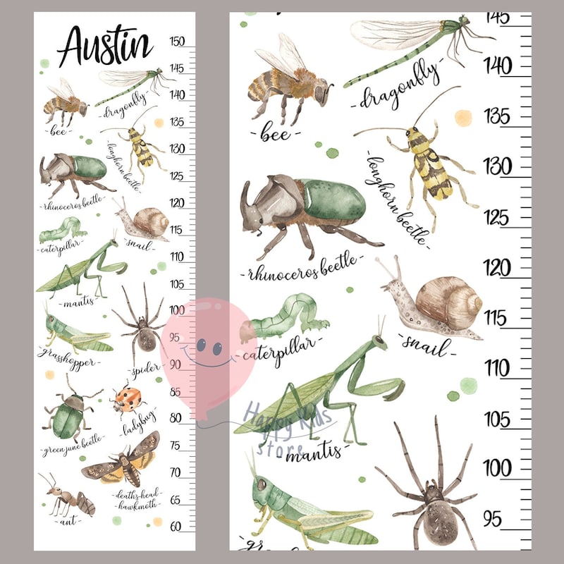 Insect Chart - Etsy
