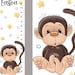 Monkey Growth Chart Nursery Baby Monkey for Nursery Monkeys Shower Gift ...