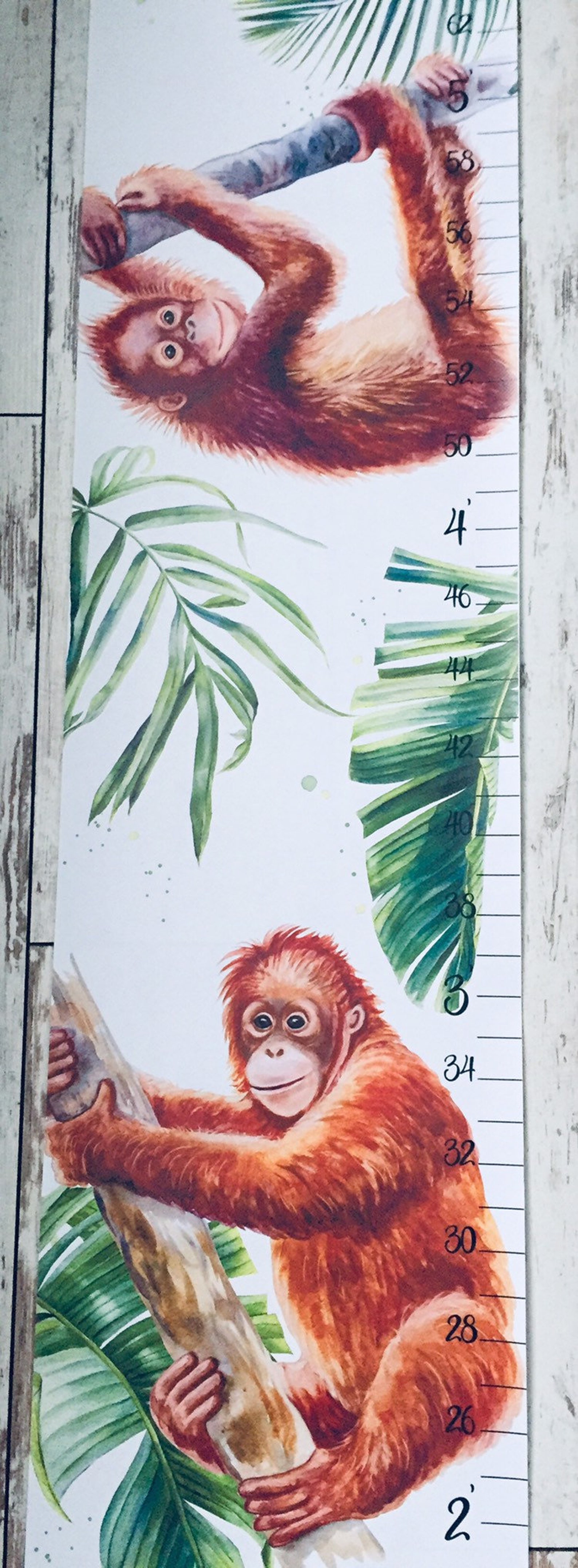 Orangutan Growth Chart: Tropical Wall Ruler, Jungle Nursery Decor - Etsy