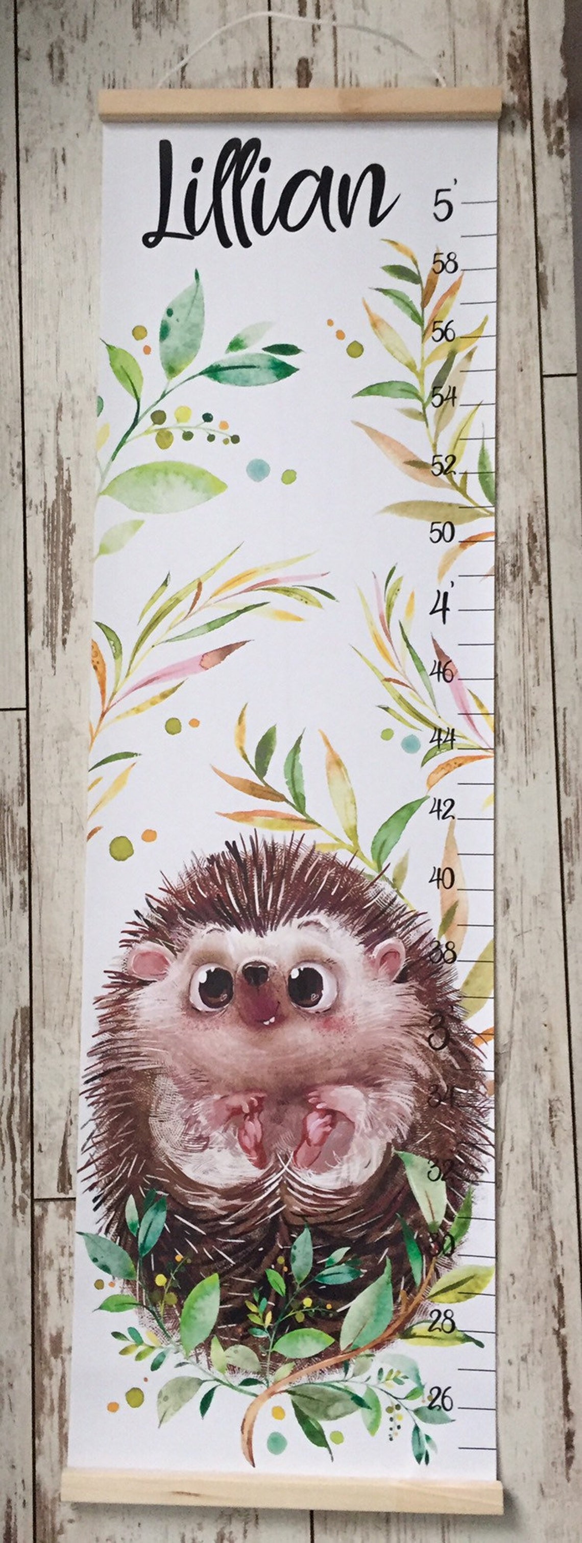 Hedgehog Height Chart Kids Growth Chart Hedgehogs Nursery - Etsy