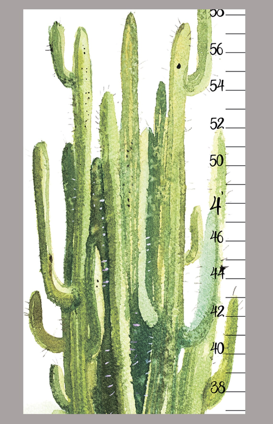 Cactus Growth Chart Desert Height Chart Cactus Wall Hanging | Etsy