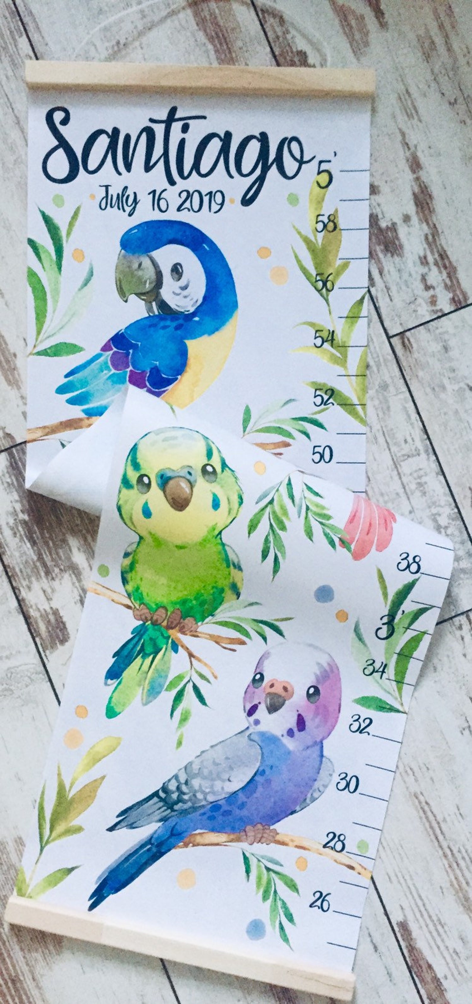 Kids Height Chart Parrot Growth Chart Parrots Wall Hanging | Etsy