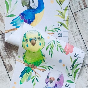 Kids Height Chart Parrot Growth Chart Parrots Wall Hanging Nursery ...