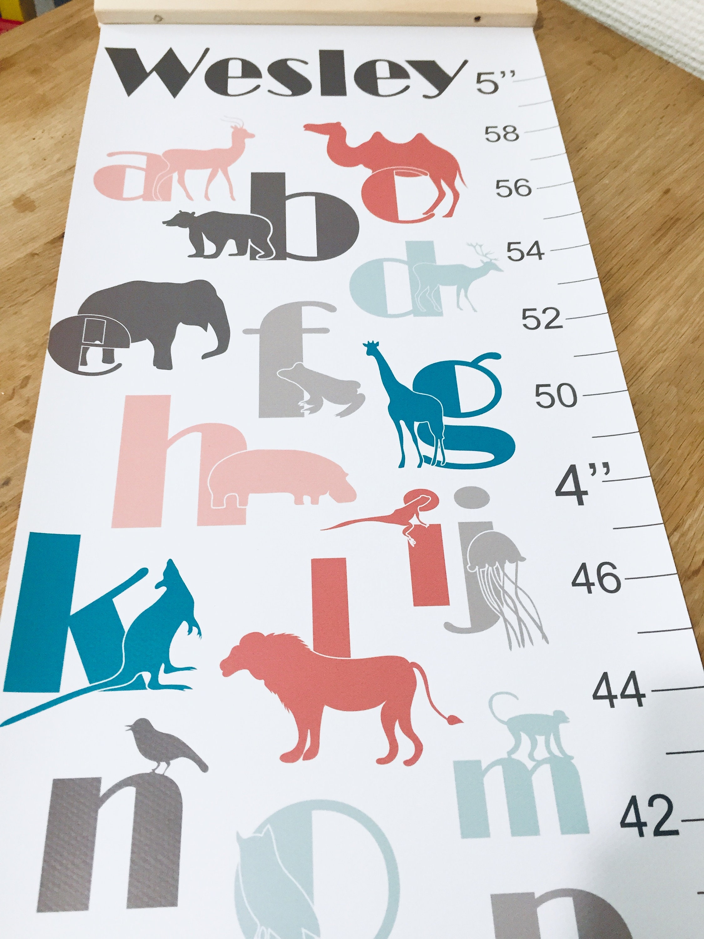 Personalized Abc's Alphabet Canvas Growth Chart Custom - Etsy