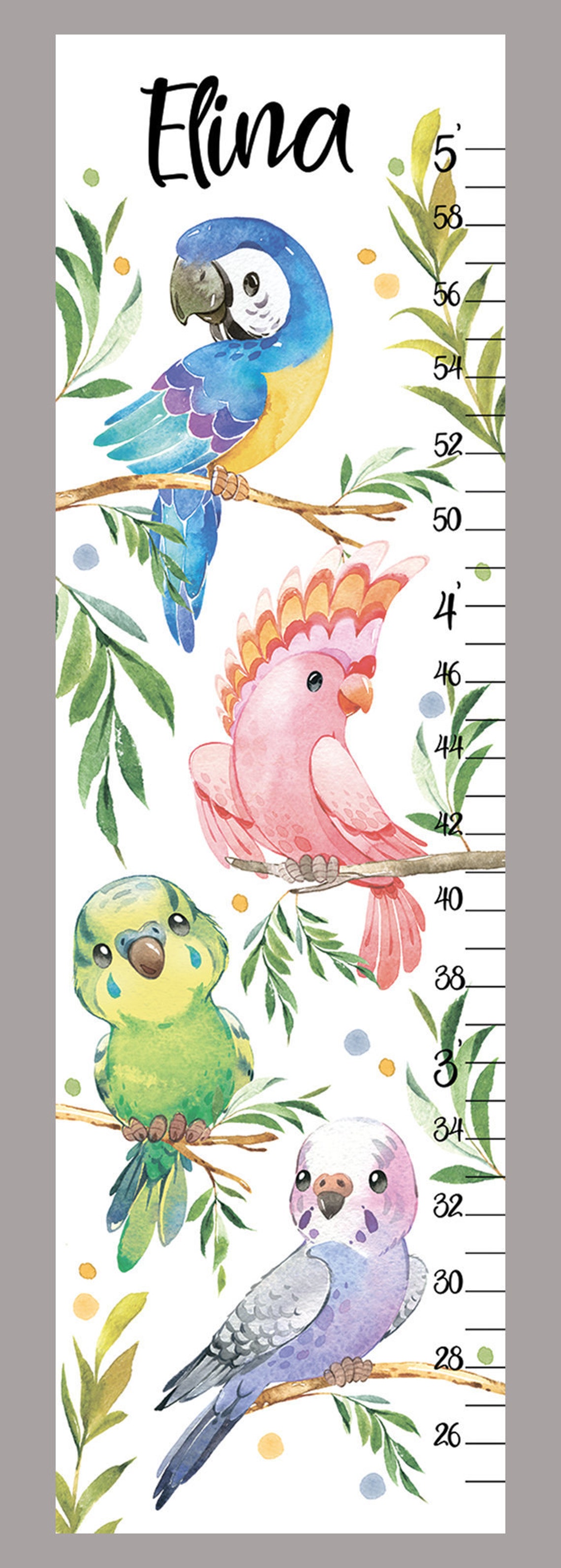 Kids Height Chart Parrot Growth Chart Parrots Wall Hanging | Etsy Singapore