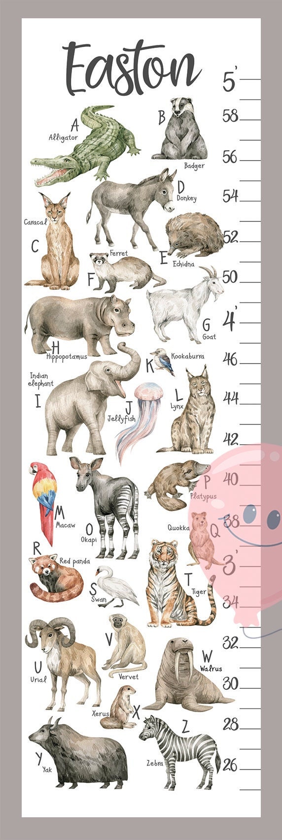 Animals Alphabet Growth Chart ABC Height Chart Educational - Etsy