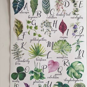 Houseplant Alphabet Poster Botanical ABC Wall Hanging Decor A-Z Plant ...