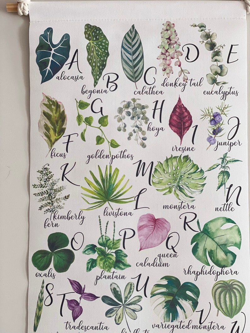 Houseplant Alphabet Poster Botanical ABC Wall Hanging Decor - Etsy