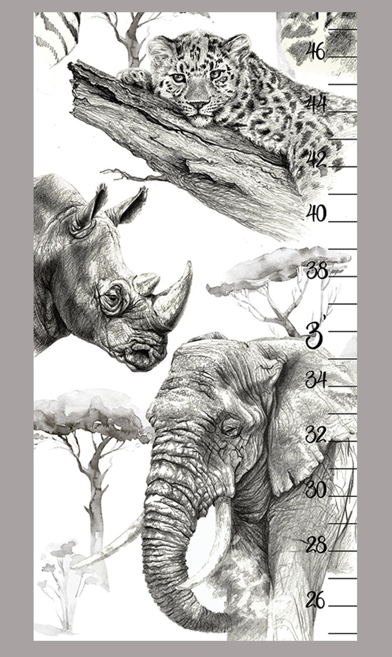 Safari Animals Height Chart Jungle Animals Growth Chart | Etsy