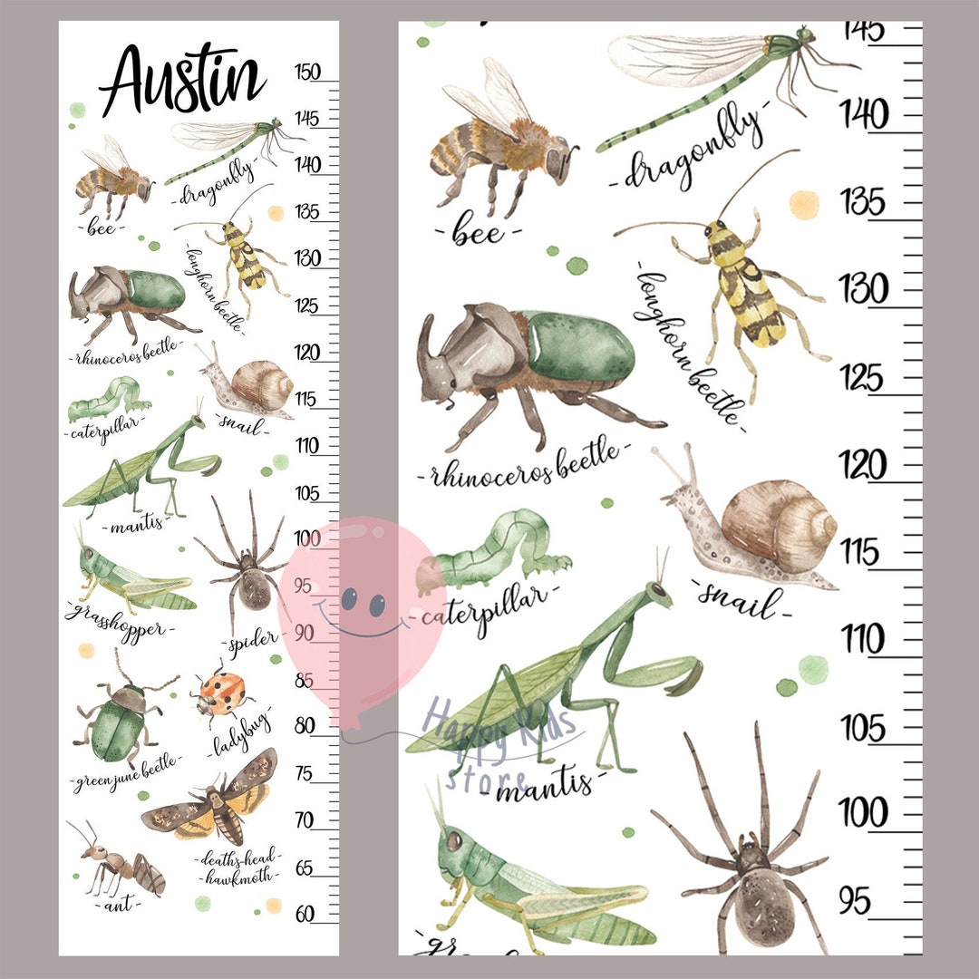 Bugs Growth Chart Insects Height Chart Future Entomologist Nursery Room ...