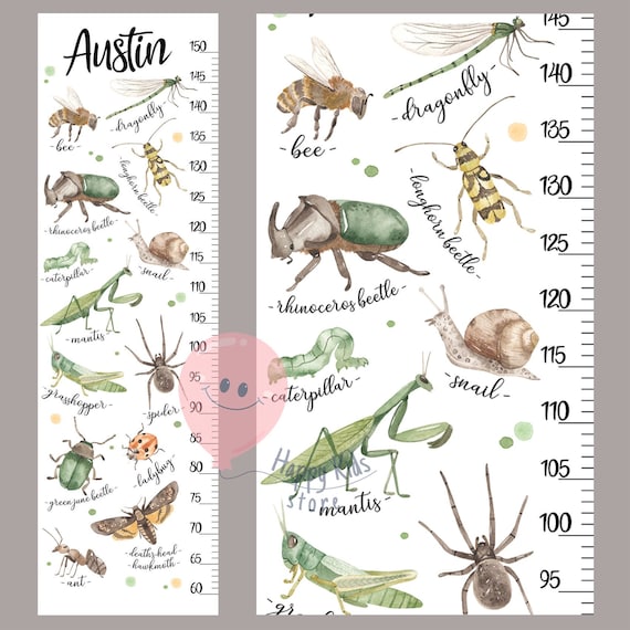 Insects And Bugs Chart