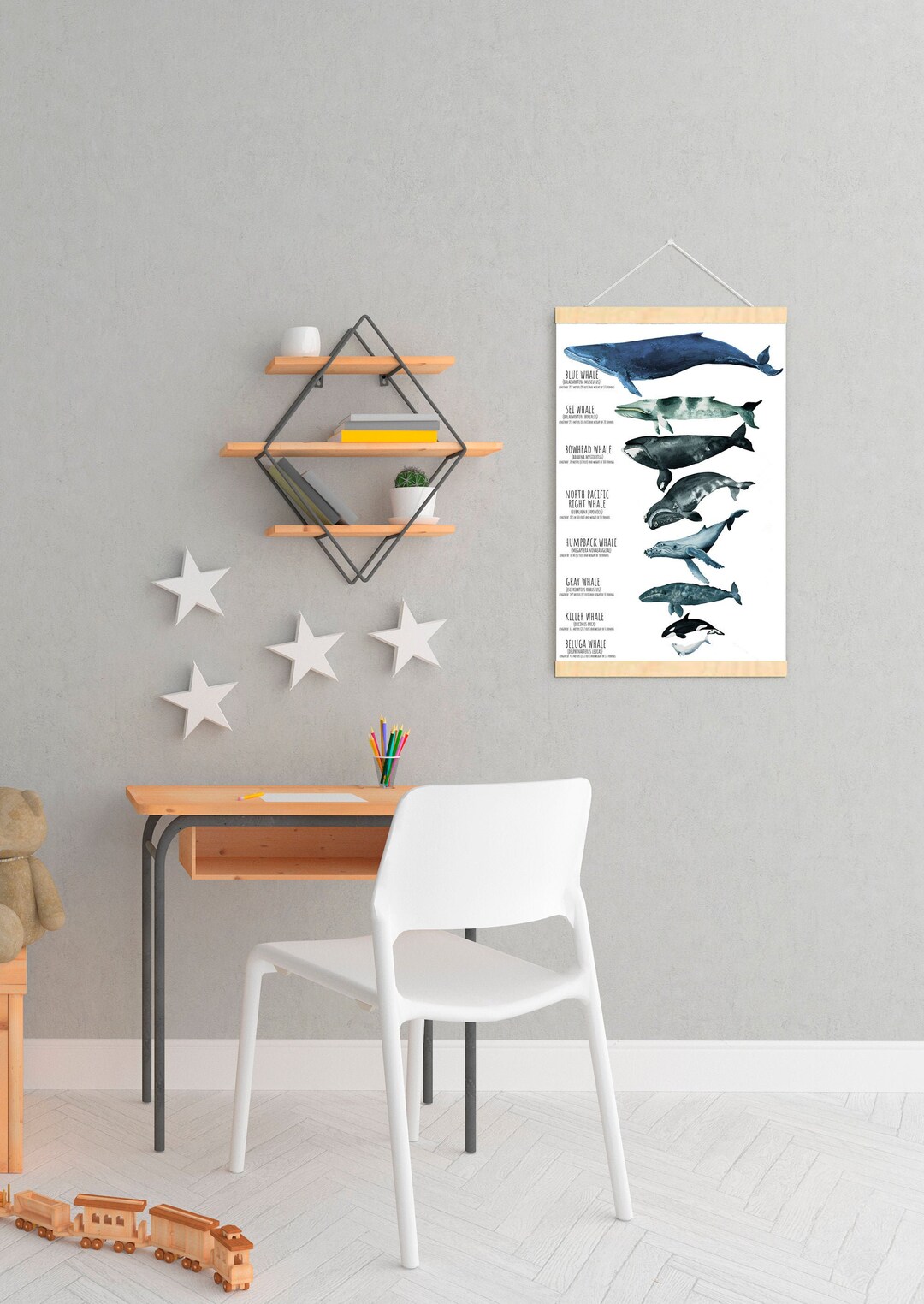 Whales Poster Educational Ocean Nursery Wall Decor Under the Sea Kid ...