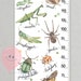 Bugs Growth Chart Insects Height Chart Future Entomologist - Etsy