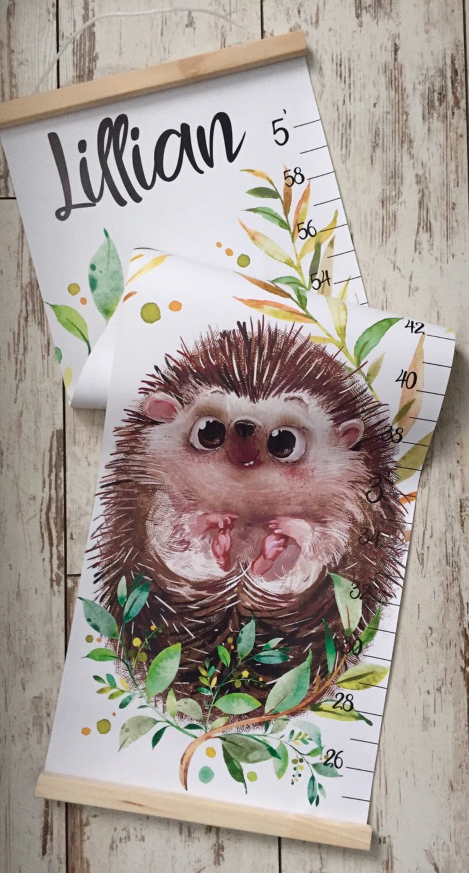 Hedgehog Height Chart Kids Growth Chart Hedgehogs Nursery - Etsy