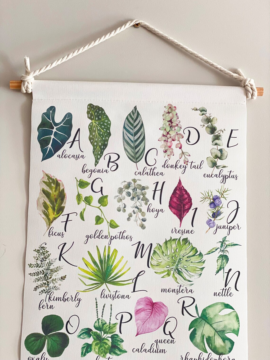 Houseplant Alphabet Poster Botanical ABC Wall Hanging Decor - Etsy
