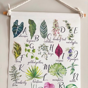 Houseplant Alphabet Poster Botanical ABC Wall Hanging Decor A-Z Plant ...