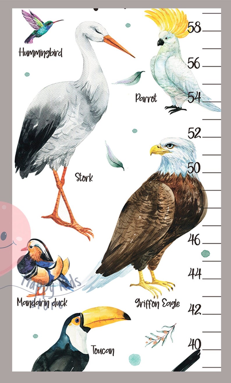 Height Chart Birds World Birds Species Growth Chart - Etsy Canada