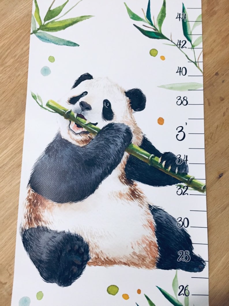 Panda Bear Growth Chart – Kids Nursery Canvas Wall Height Ruler - Etsy