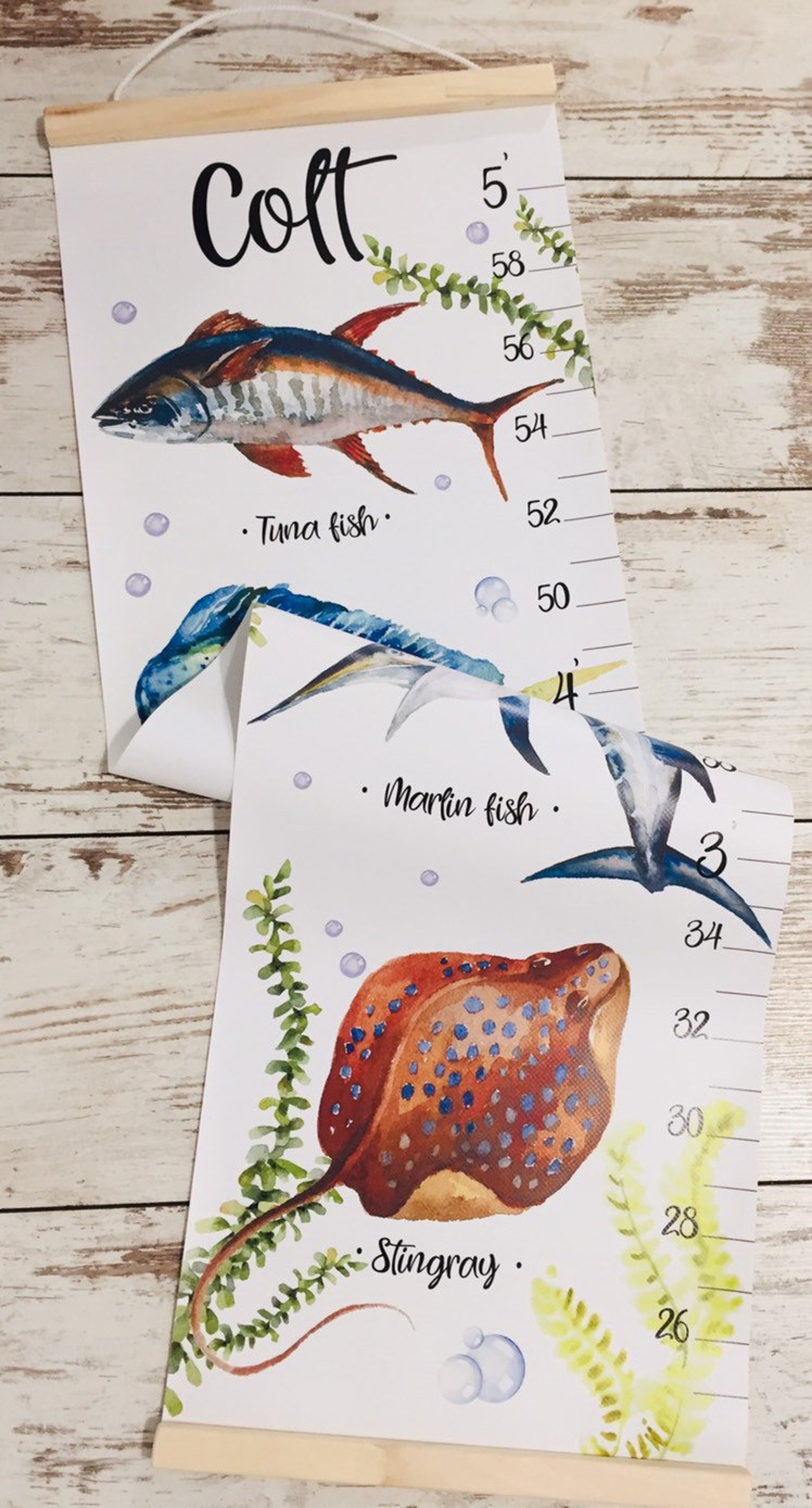 Fishing Growth Chart Marine Fish Height Chart Ocean Fish | Etsy