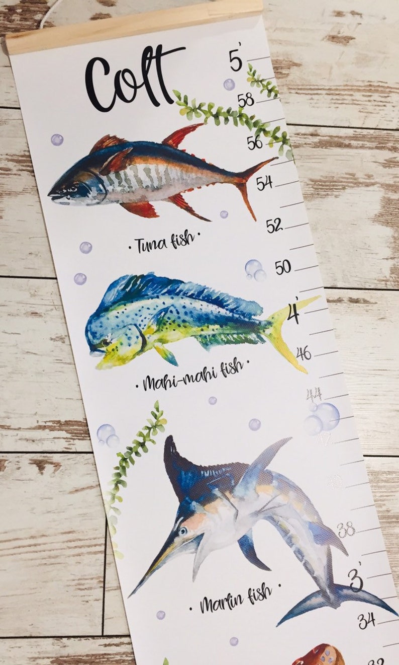 Fishing Growth Chart Marine Fish Height Chart Ocean Fish | Etsy