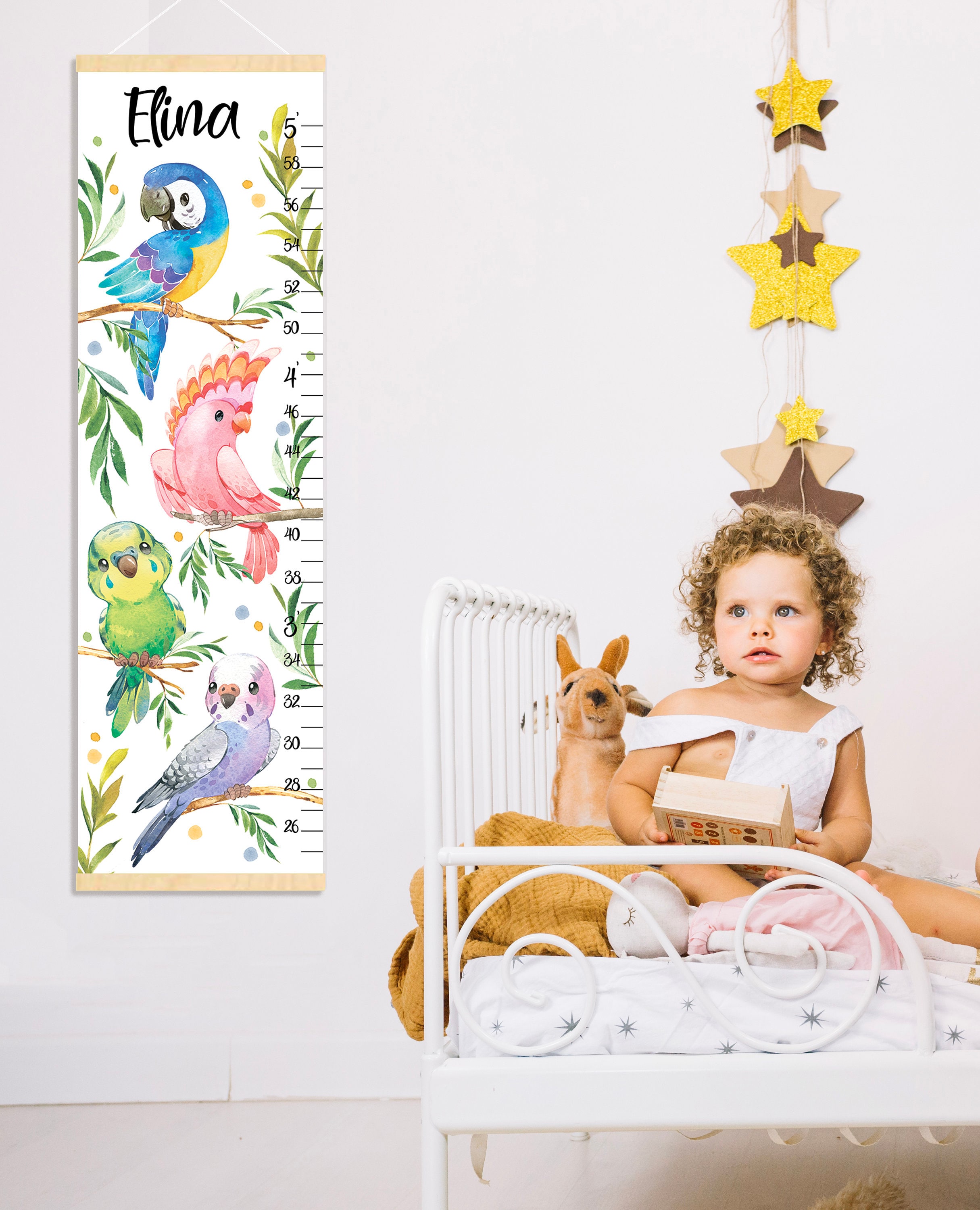 Kids Height Chart Parrot Growth Chart Parrots Wall Hanging - Etsy Singapore